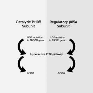 What is APDS | All About APDS